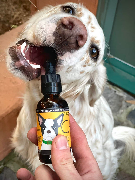 CALM – CBD Oil for Dogs for Daily Calming & Stress Support - CBD Dog ...