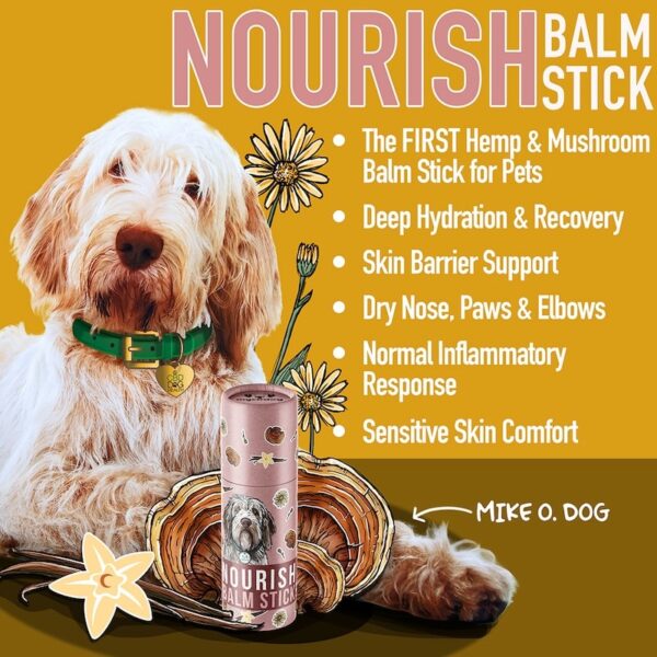 Nourish Balm Stick for Dogs | CBD + Reishi for Skin + Paw Care - CBD ...