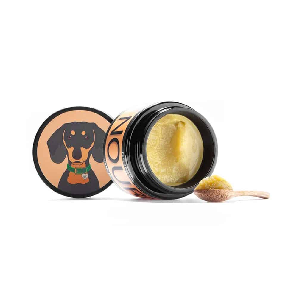 NOURISH: Dry Skin, Elbows and Paws for Dogs - CBD Dog Health