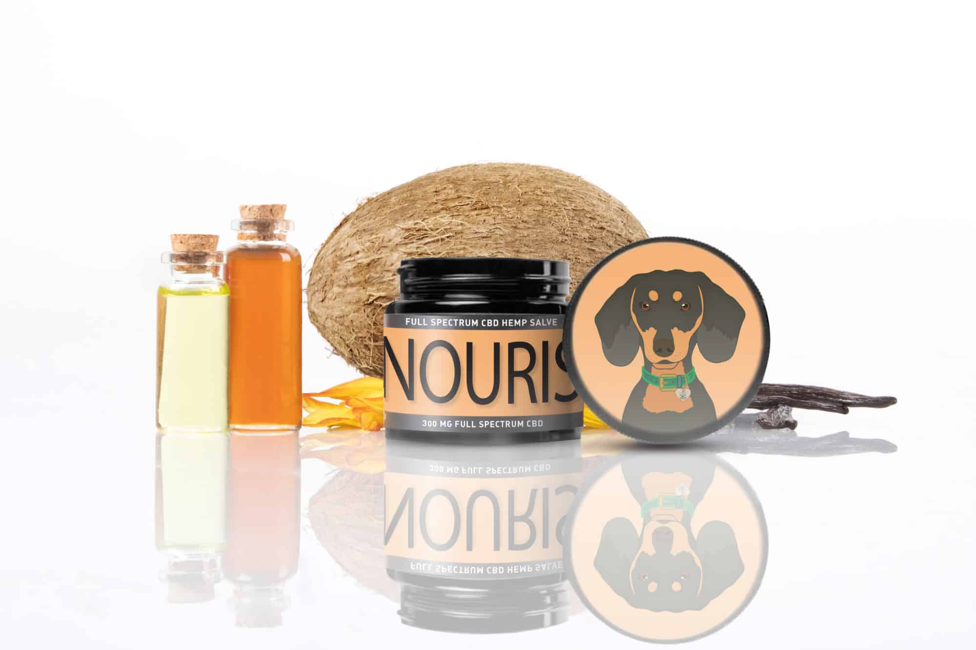 NOURISH – CBD Salve for Dogs for Dry Noses, Paws & Skin - CBD Dog Health