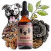 Vitality: Mushroom Blend for Dogs – Immune & Cellular Health