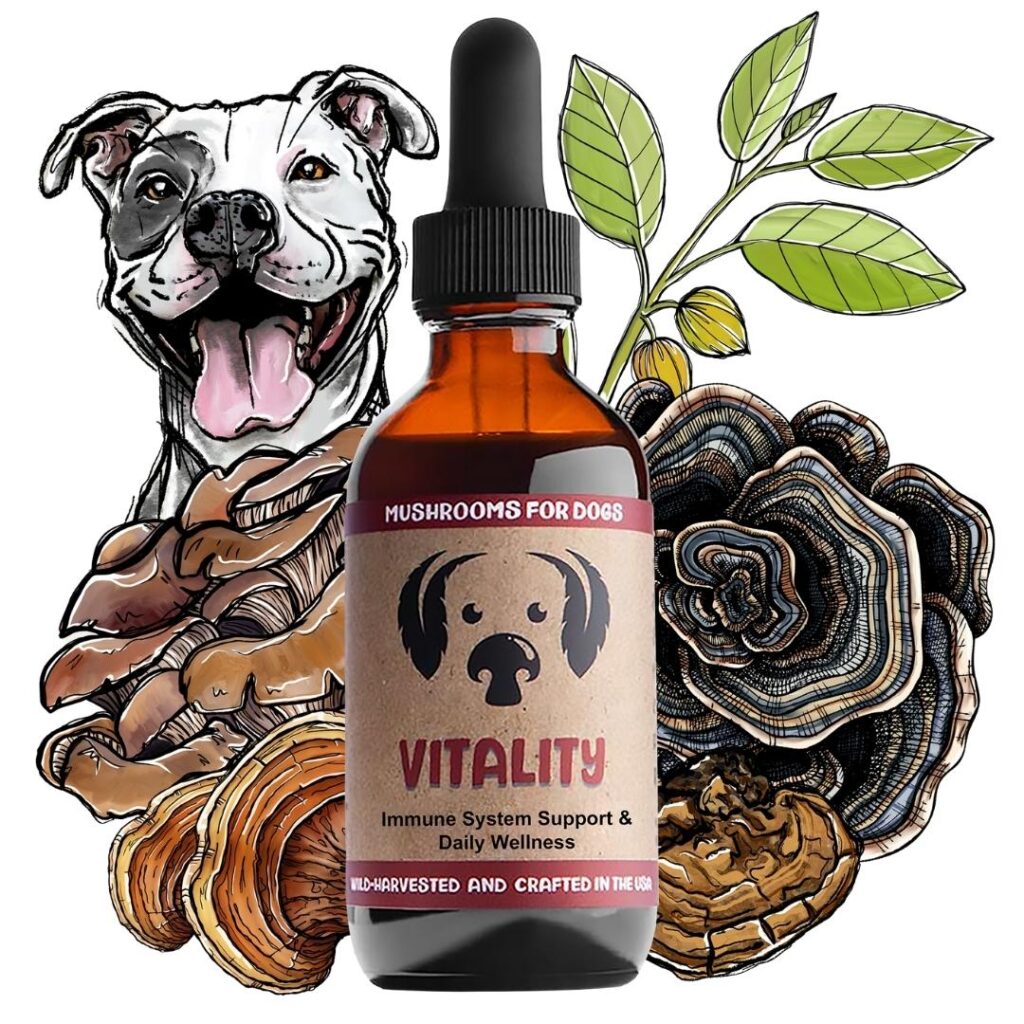 Vitality: Mushroom Blend for Dogs – Immune & Cellular Health