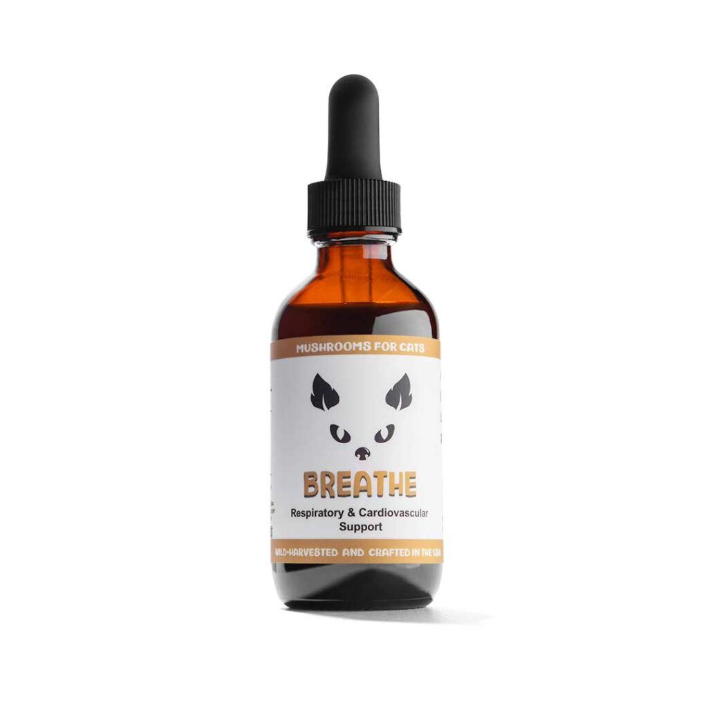 CBD for Cats: Vet Approved Full Spectrum Hemp for Cats